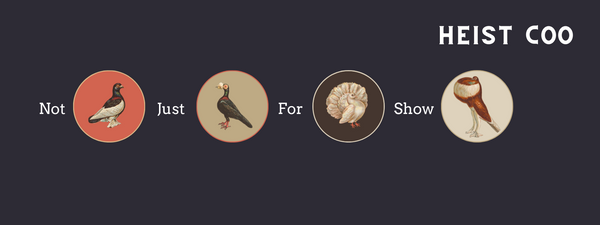 Heist Coo - Part 2 - Cliff - Bird Fluff | Apparel and Gifts for ...