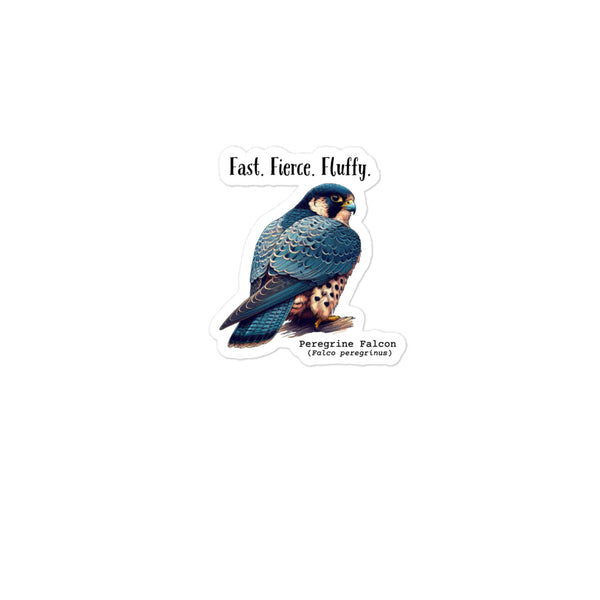 Fast Fierce Fluffy Peregrine Falcon Sticker | Premium Vinyl Decal ...